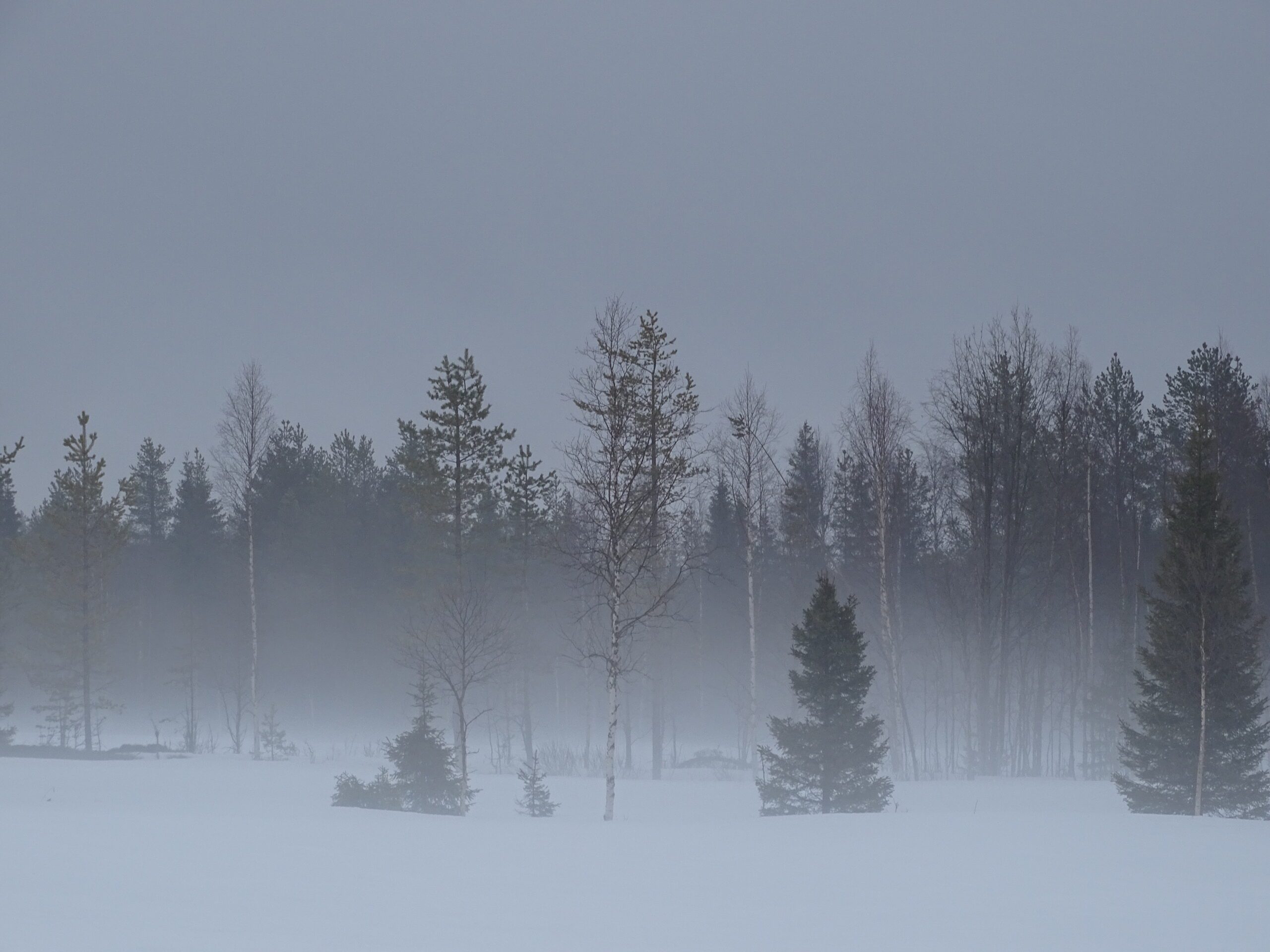Cold Weather Photography in Lapland: Tips for Capturing Breathtaking ...